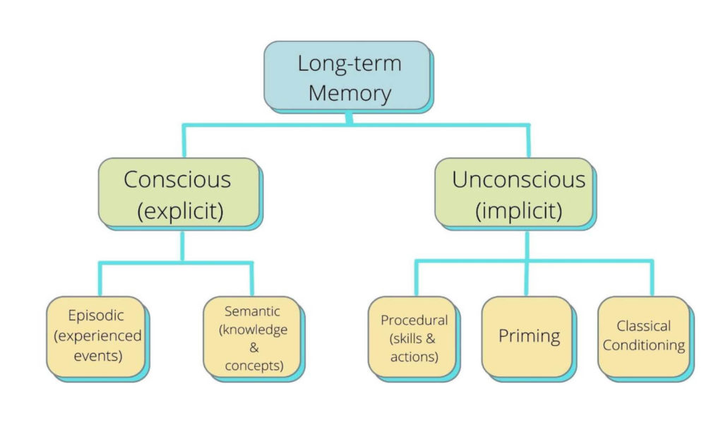 When to Begin? Early Memories Build the Foundation for Environmental ...